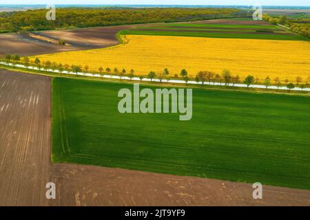 An aerial shot of a road surrounded by trees in a forest Stock Photo ...