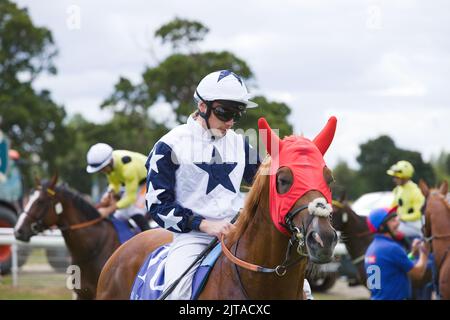 Jockey Callum Shepherd on Never Just A Dream at York Races Stock Photo ...