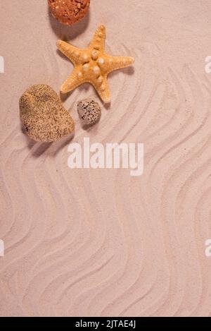 Frame of beautiful different seashells on a blue background. Mollusk ...