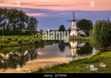 'De Vlinder' is a typical and picturesque Dutch windmill located in the ...