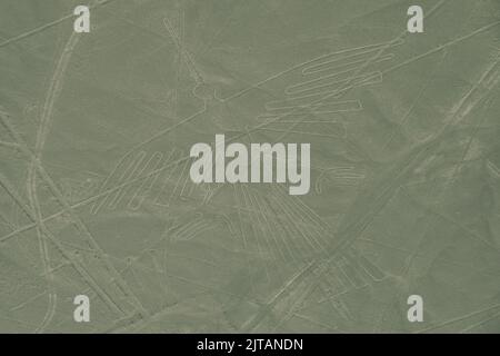 A beautiful shot of Nazca Condor Lines Geoglyphs in the Nasca desert ...