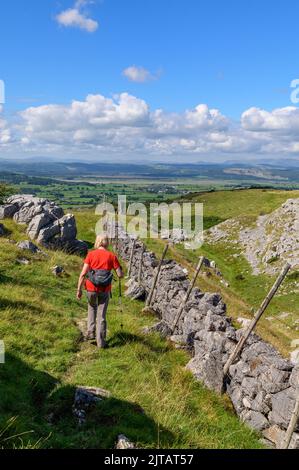 View from Holme Knott towards Sedbergh and Winder Hill, Yorkshire Dales ...