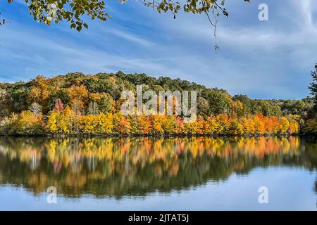 Bright fall foliage colors reflect onto surface of North Georgia lake ...