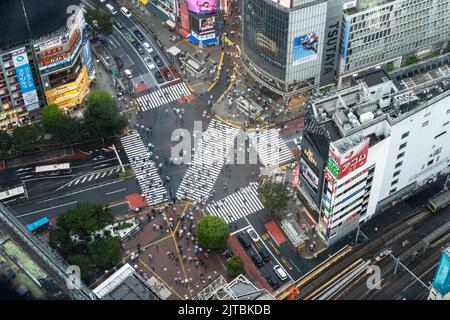 Pedestrians with umbrellas cross the multi-directional scramble ...