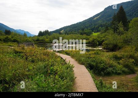 Observation platforms in Zelenci Nature Reserve near Kranjska Gora in ...