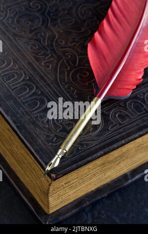 Antique Red Book with Red Feather Fountain Pen and Dried Roses Stock ...