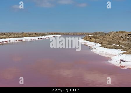 Namibia, panorama of the the salt marshes near Walvis Bay, pink lake ...