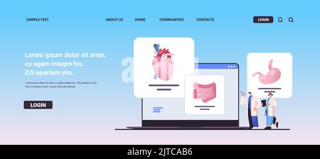 scientists examining anatomical human body internal organs on monitor ...