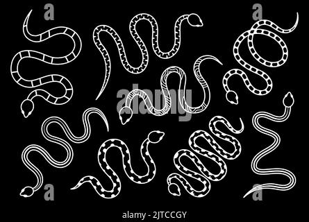 Black snakes silhouettes. Astrology symbol. Black snakes elements for ...