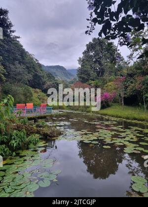 Amazing landscapes of Jardin Colombia Views of Colombia Stock Photo - Alamy