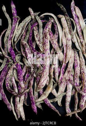 Dragon's Tongue Beans Stock Photo - Alamy