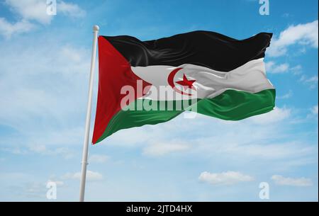 flag of Arab peoples Sahrawis. flag representing ethnic group or ...