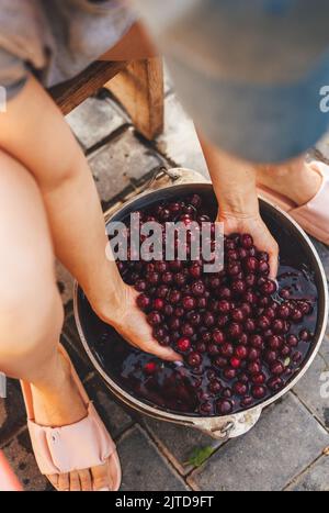 Hands washing cherries Stock Photo - Alamy