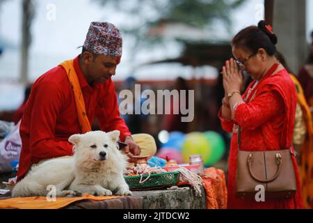 Bhaktapur, Bagmati, Nepal. 30th Aug, 2022. A Hindu woman handles her ...
