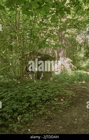 Summer cloudy day. There is an old dilapidated summer gazebo in the ...