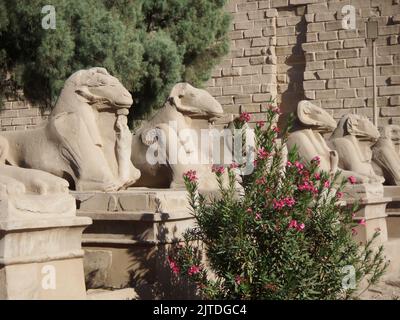 Ancient Egyptian Statues Line Stock Photo - Alamy