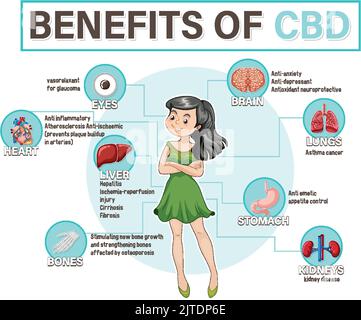 Benefits of CBD for physical health diagram illustration Stock Vector ...