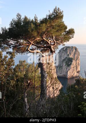 Capri - Faraglioni dal sentiero di Via Tragara al tramonto Stock Photo ...