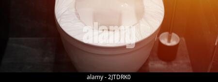 disposable cover pad on the rim of the toilet seat. wc hygiene system ...