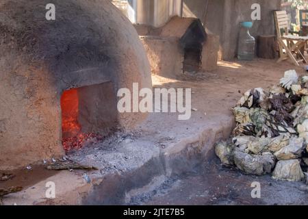 A pile of agave tequilana ready to go into the burning mud oven Stock ...