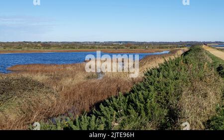 Keyhaven Marshes Nature Reserve, Hampshire, UK Stock Photo - Alamy
