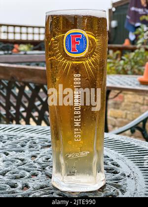 a pint of fosters lager Stock Photo - Alamy