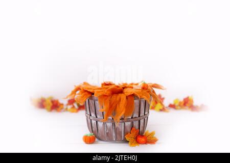 Newborn digital backdrop with fall items. Autumn background Stock Photo ...