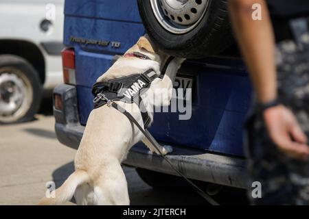 Bucharest, Romania - August 30, 2022: Officer from the Romanian customs ...