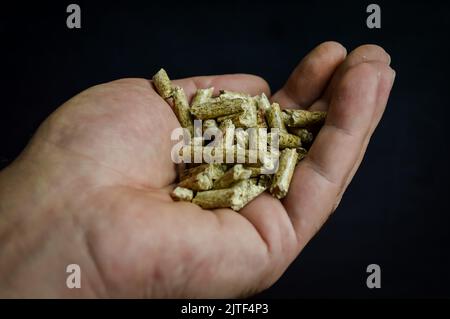 hand holding wood pellets going into the stove, alternative heating ...