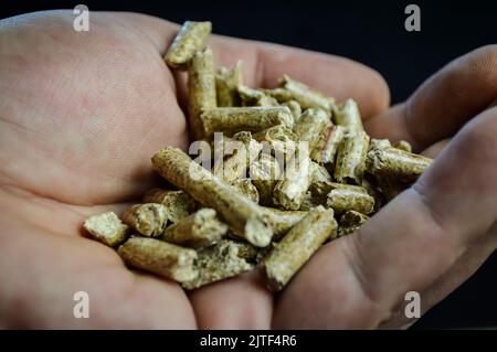 hand holding wood pellets going into the stove, alternative heating ...