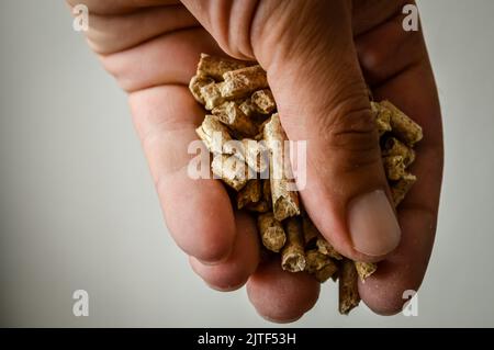 hand holding wood pellets going into the stove, alternative heating ...
