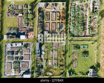 Aerial view of allotments for gardening vegetables Stock Photo - Alamy