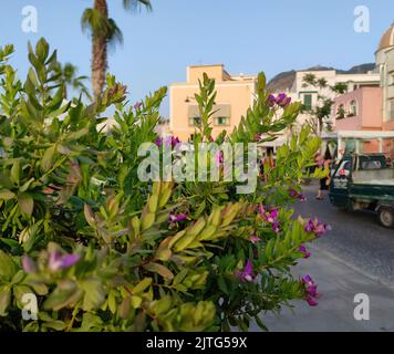 The beautiful town of Forio municipality of the island of Ischia, one ...
