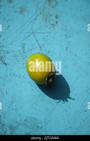 Defocus orange tomato on blue background. One ripe juicy red fresh ...