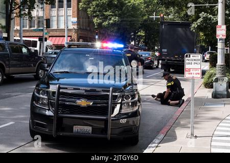 Seattle, USA. 30th Aug, 2022. The Black Tones playing in Westlake park ...