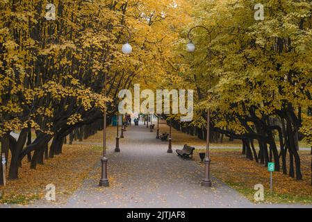 Minsk, Belarus. October 2020. Central entrance, alley to the Botanical ...