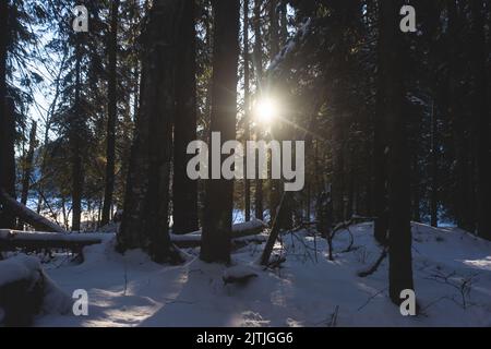 Repovesi National Park, aerial winter view, landscape view of a finnish ...