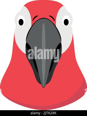 cute little parrot bird cartoon isolated white background design vector ...