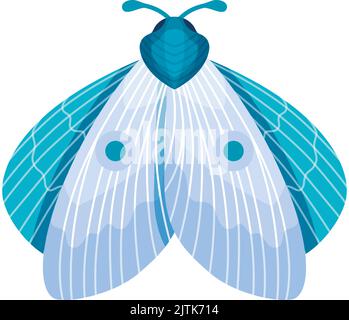 Blue winged insect. Night moth. Pastel butterfly Stock Vector Image ...