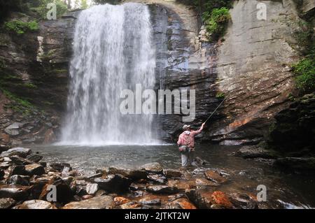 A trout angler works a pool below Looking Glass Falls in the Pisgah ...