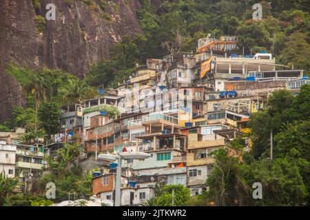 slum sky farm in Rio de Janeiro Brazil Stock Photo - Alamy