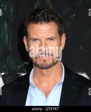 NEW YORK, NEW YORK - AUGUST 23: Lloyd Owen attends "The Lord Of The ...
