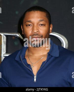NEW YORK, NEW YORK - AUGUST 23: Malcolm Mays attends "The Lord Of The ...