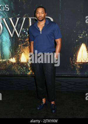 NEW YORK, NEW YORK - AUGUST 23: Malcolm Mays attends "The Lord Of The ...
