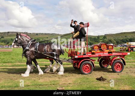 Thwaites horse-drawn beer dray on show at the Bury Agricultural Show in ...