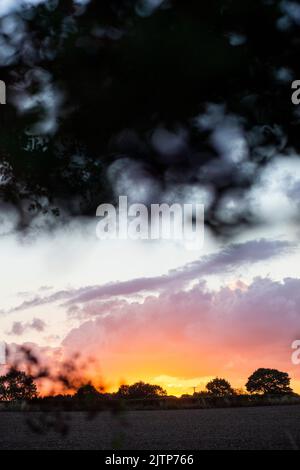 Wakefield,West Yorkshire, UK. 31st August, 2022. UK Weather. The ...