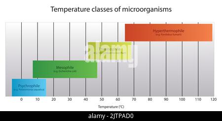 Diagram of microorganism classification by optimal growth temperature ...