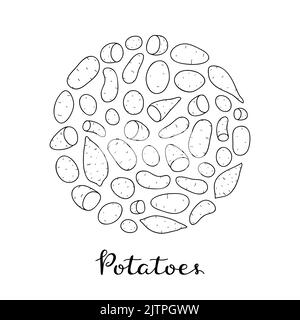 Different potato varieties composed in circle shape with lettering on ...
