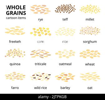 Different cartoon whole cereal grains composed in circle shape Stock ...