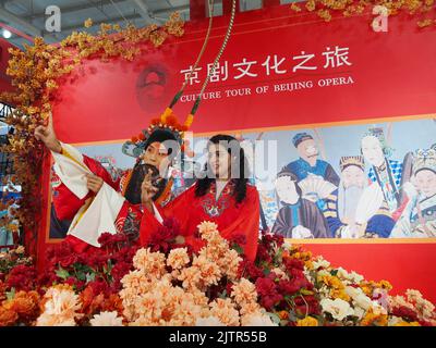 BEIJING, CHINA - SEPTEMBER 5, 2022 - A visitor looks at a two-arm ...